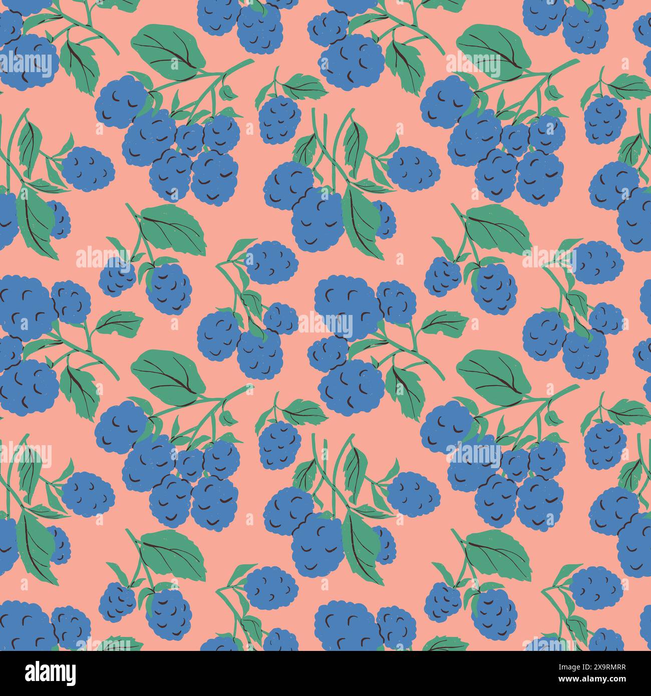 Botanical blackberry illustration hi-res stock photography and images ...