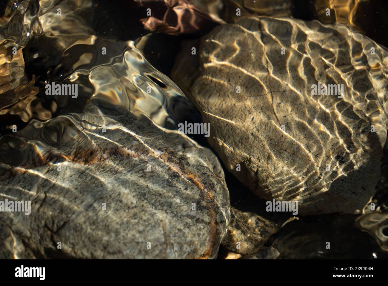 Patterns of light from rippling on river stones creating natural ...