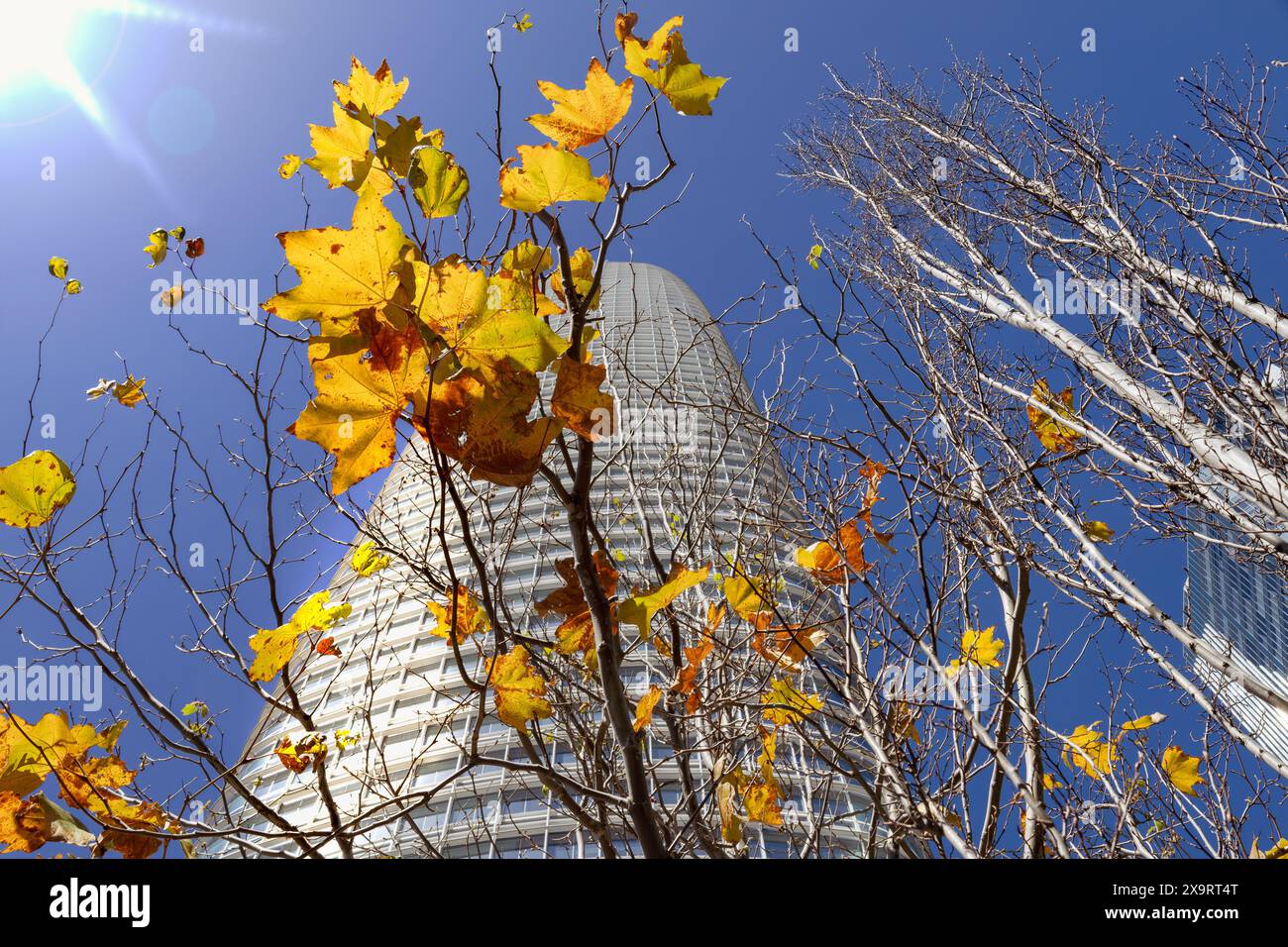 San Francisco, CA, USA. March 16, 2024 : Salesforce Park in San ...
