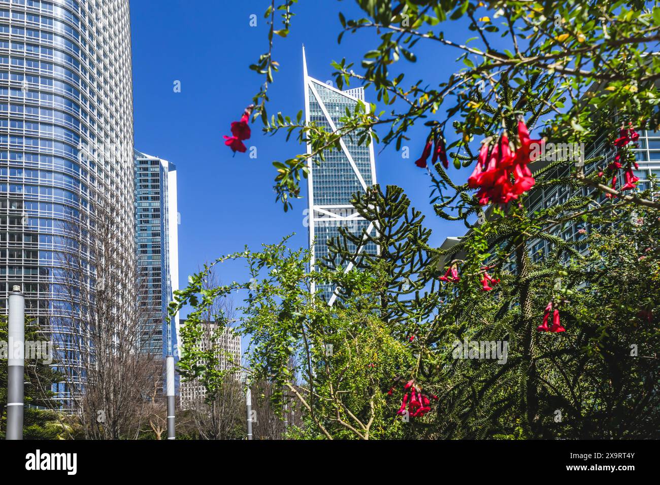 Salesforce tower roof hi-res stock photography and images - Alamy