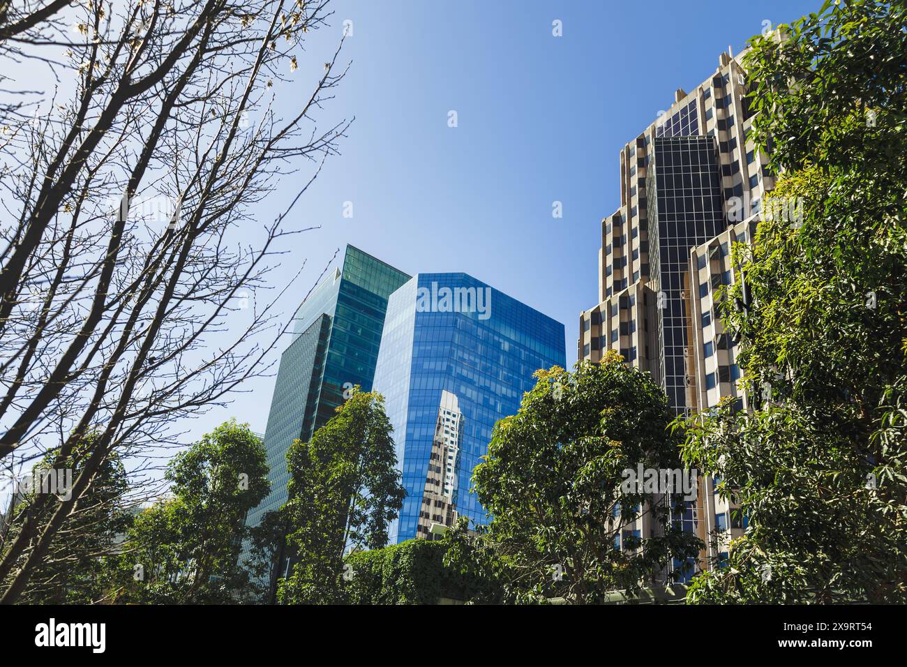 San Francisco, CA, USA. March 16, 2024 : Salesforce Park in San ...