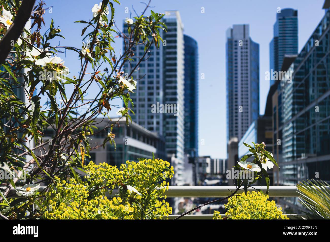 Salesforce Park in San Francisco, CA, has a 5.4-acre rooftop public ...