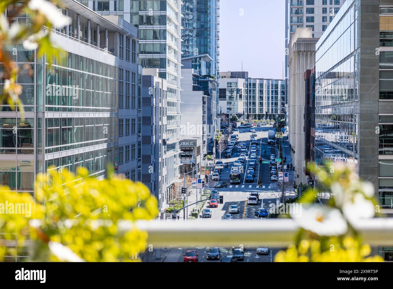 San Francisco, CA, USA. March 16, 2024 : Salesforce Park in San ...