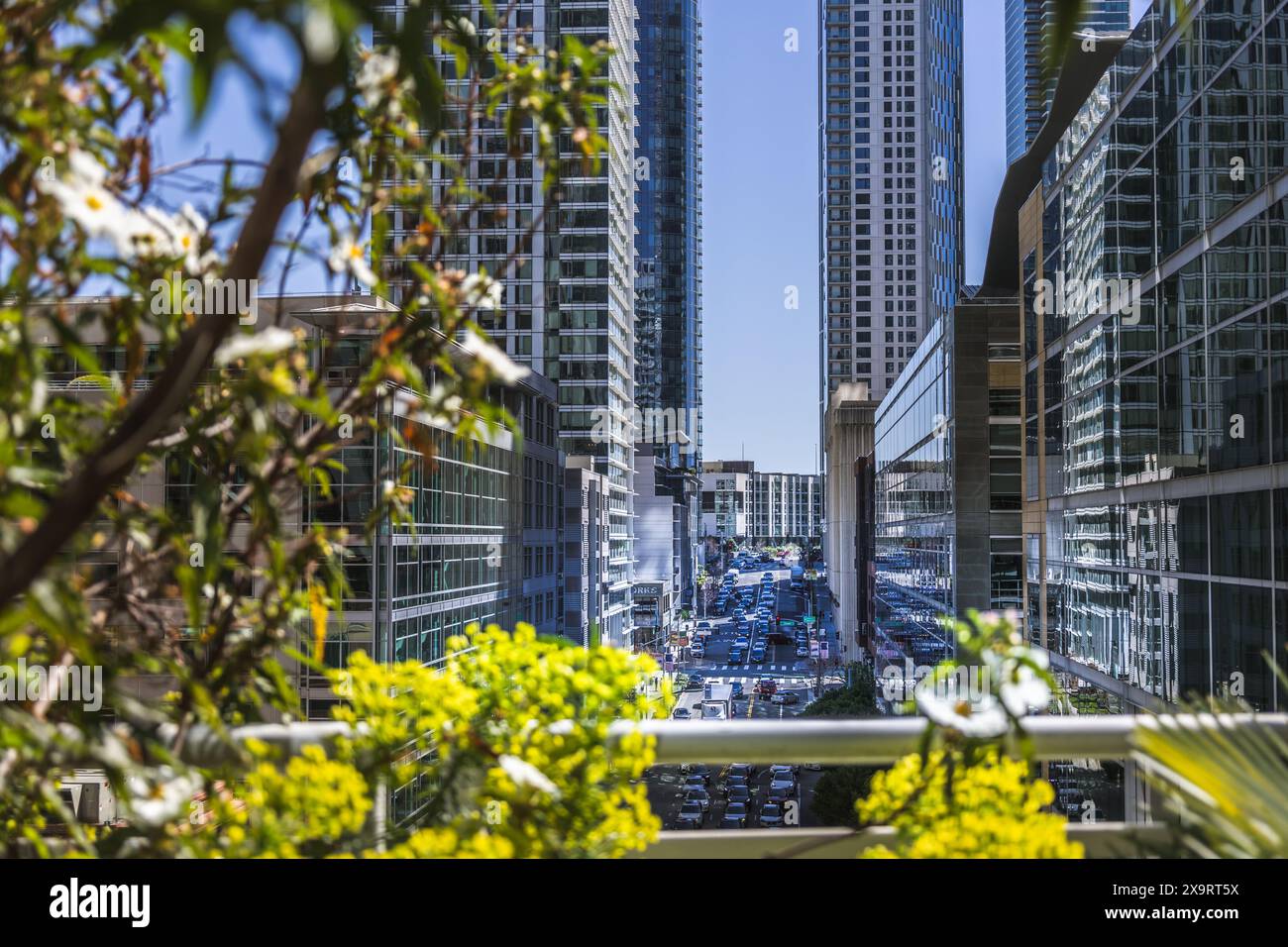 San Francisco, CA, USA. March 16, 2024 : Salesforce Park in San ...