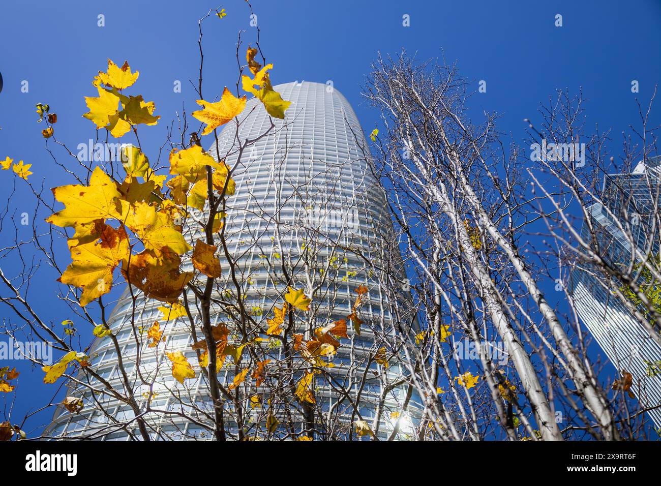 San Francisco, CA, USA. March 16, 2024 : Salesforce Park in San ...