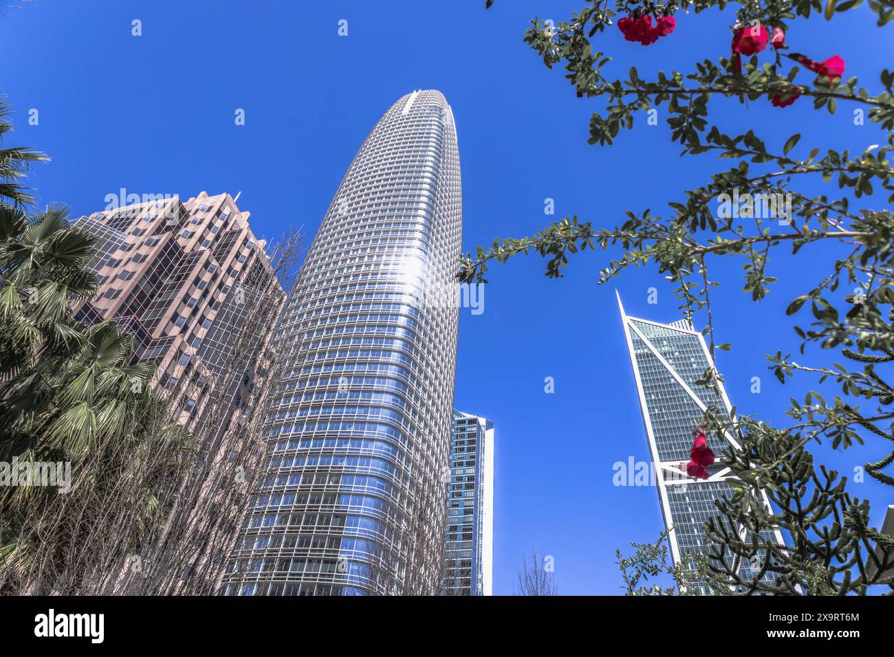 San Francisco, CA, USA. March 16, 2024 :Salesforce Park in San ...