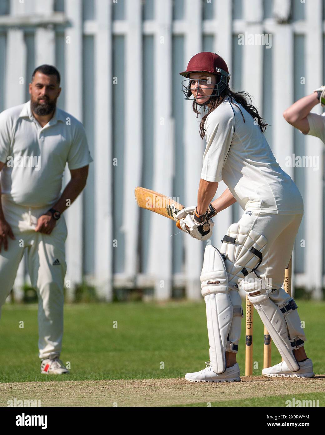 Cricket 2024 hi-res stock photography and images - Alamy