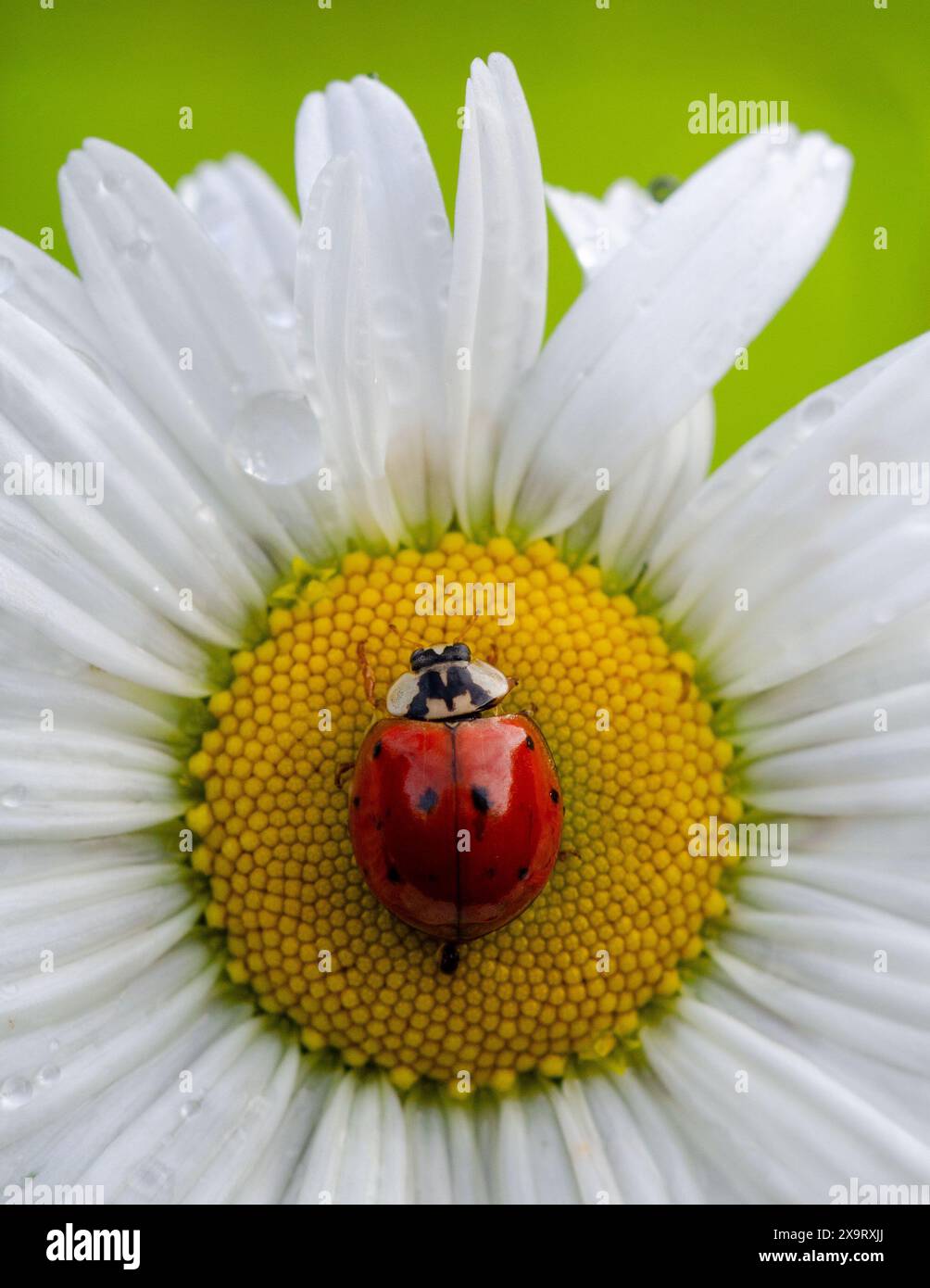 Earth scenes hi-res stock photography and images - Alamy