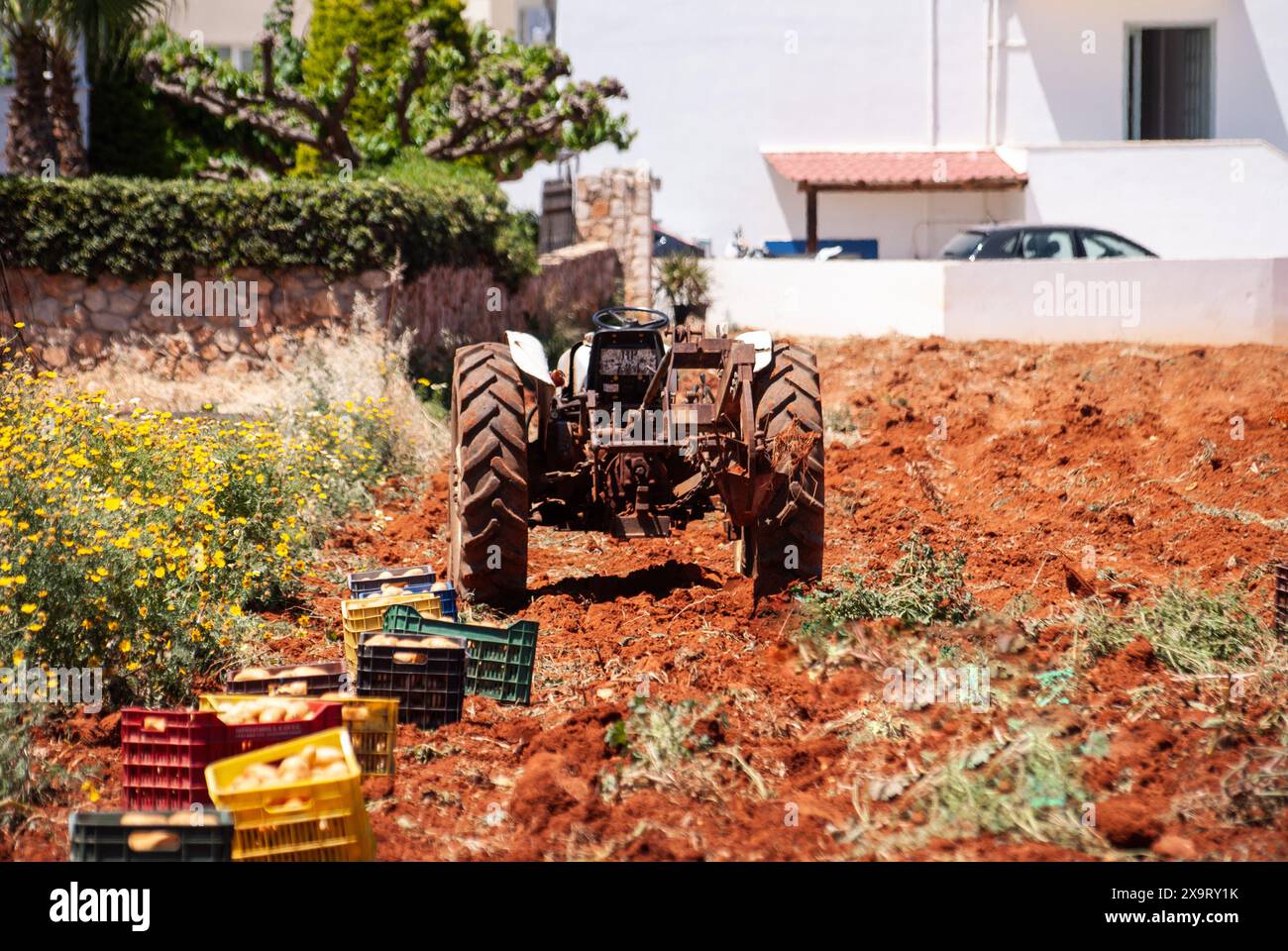 Small old tractor in a greenhouse on a farm to help with the ...