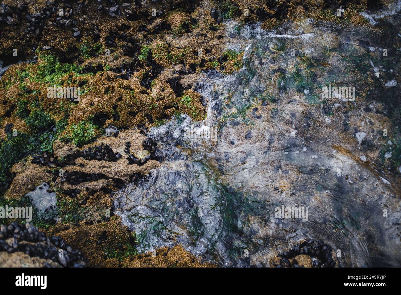 Natural formations and diverse seabed sediments revealed during an ...