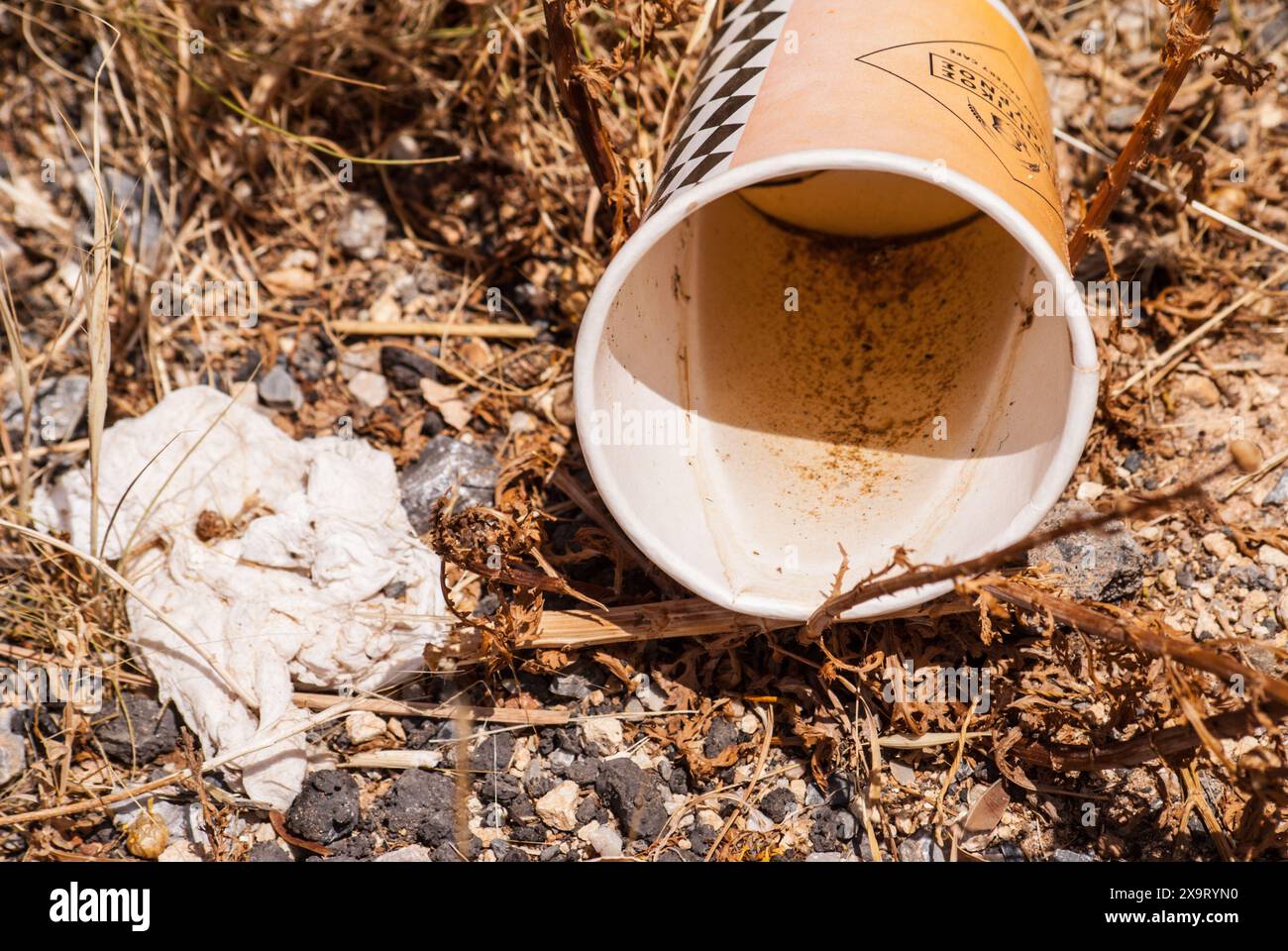 Old trash (coffee cup) in the grass. Environmental pollution Stock ...