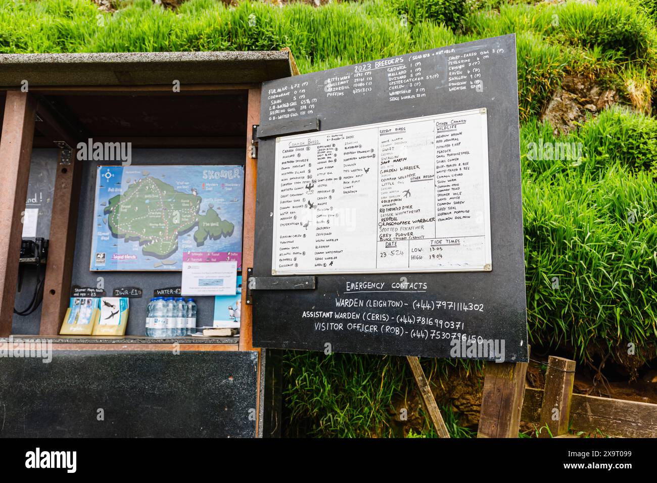 Board with a handwritten list of birds and wildlife species seen on ...