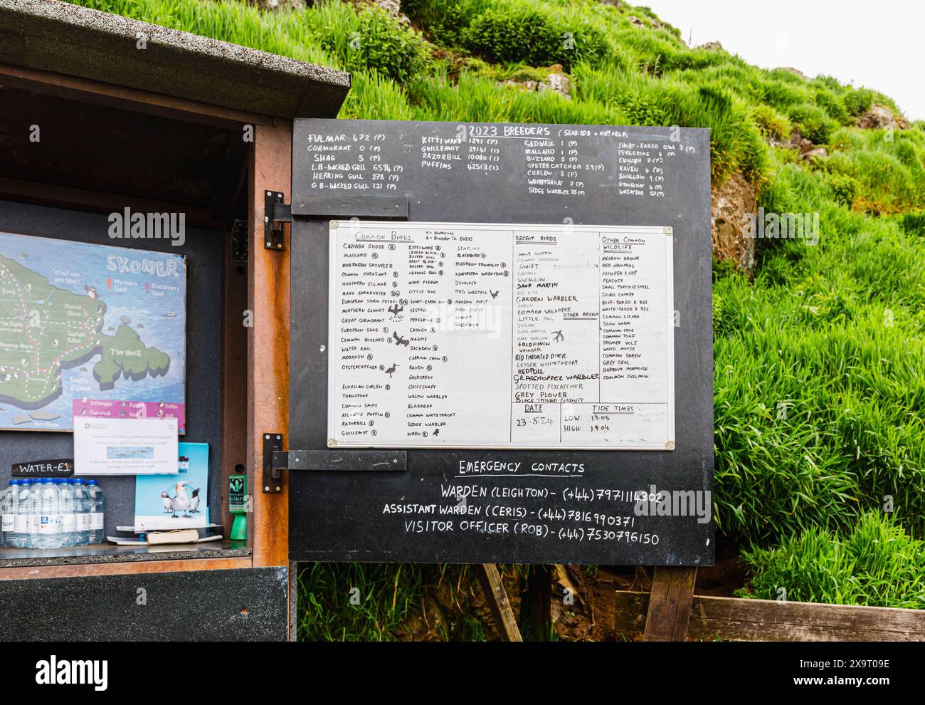 Board with a handwritten list of birds and wildlife species seen on ...