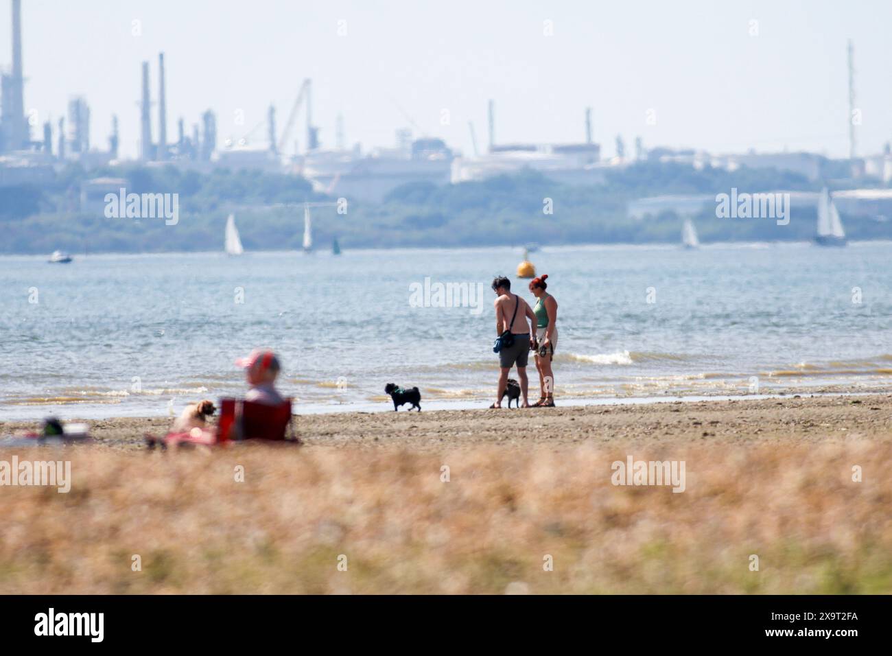 Meon Beach, Titchfield Nature Reserve, Stubbington. 02nd June 2024. A ...