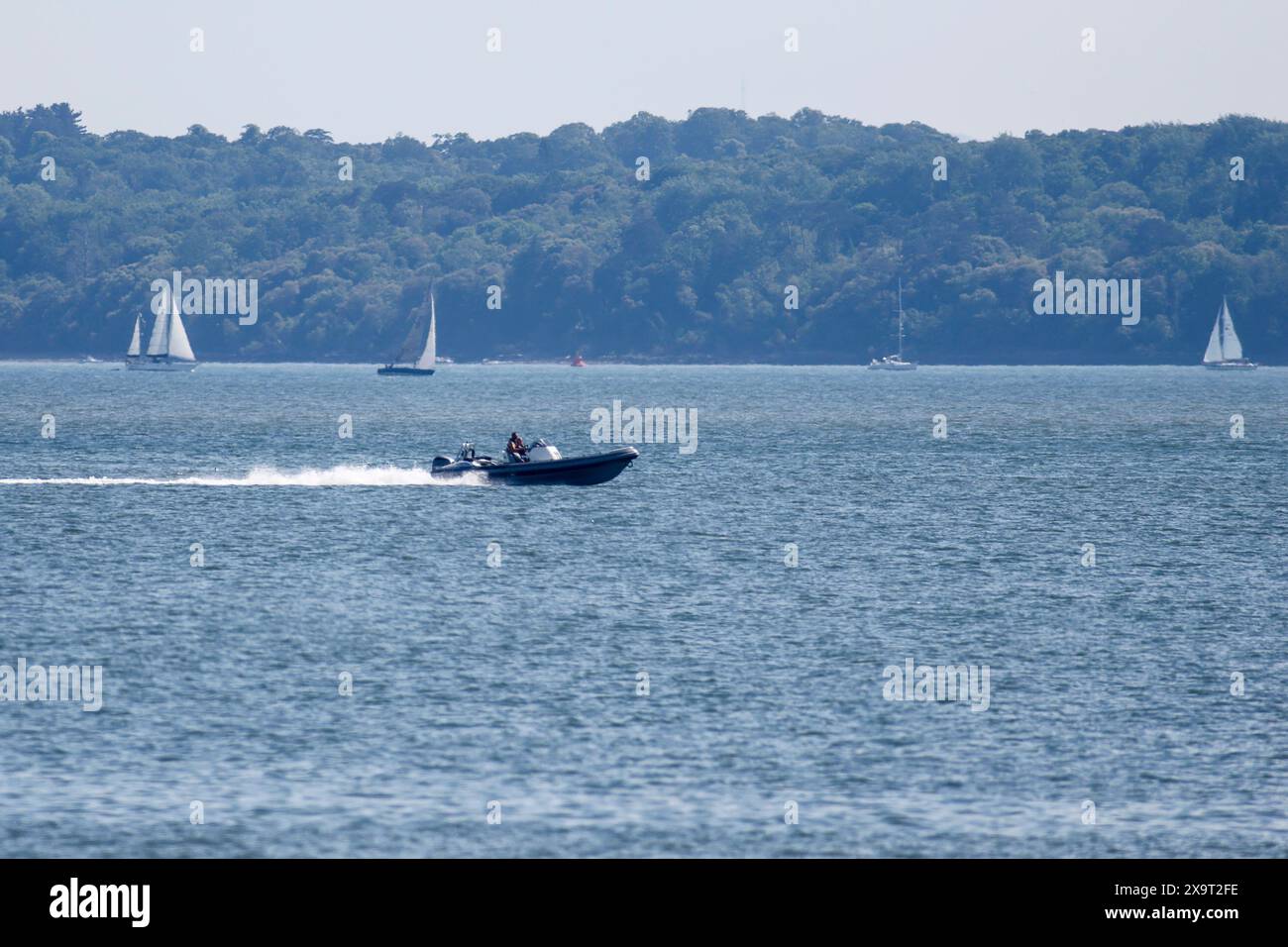 Meon Beach, Titchfield Nature Reserve, Stubbington. 02nd June 2024. A ...