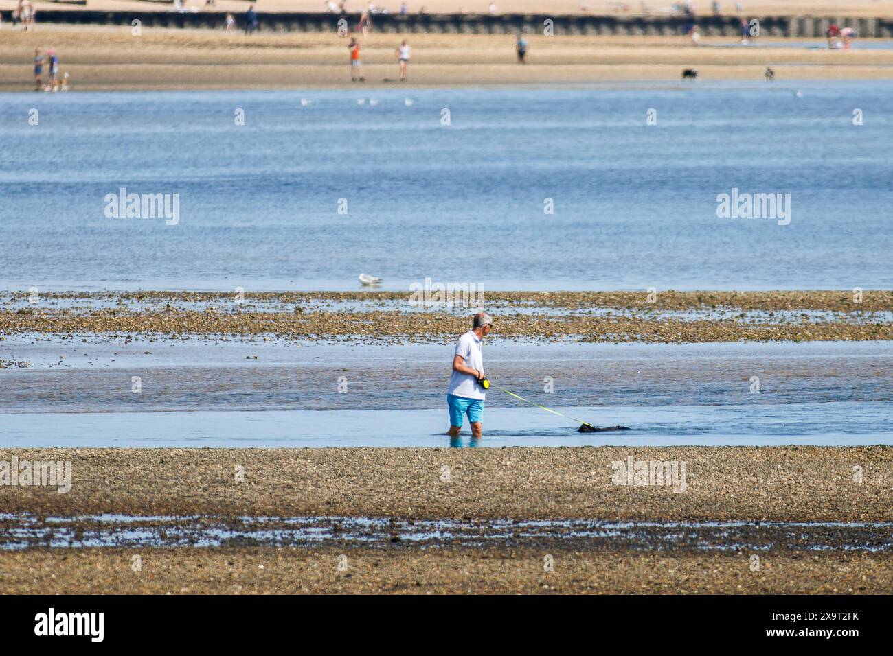 Meon Beach, Titchfield Nature Reserve, Stubbington. 02nd June 2024. A ...