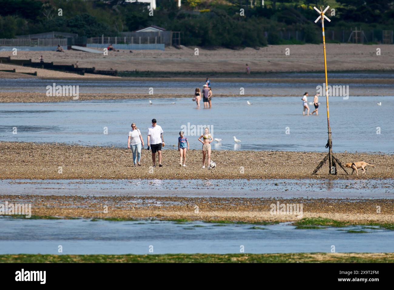 Meon Beach, Titchfield Nature Reserve, Stubbington. 02nd June 2024. A ...