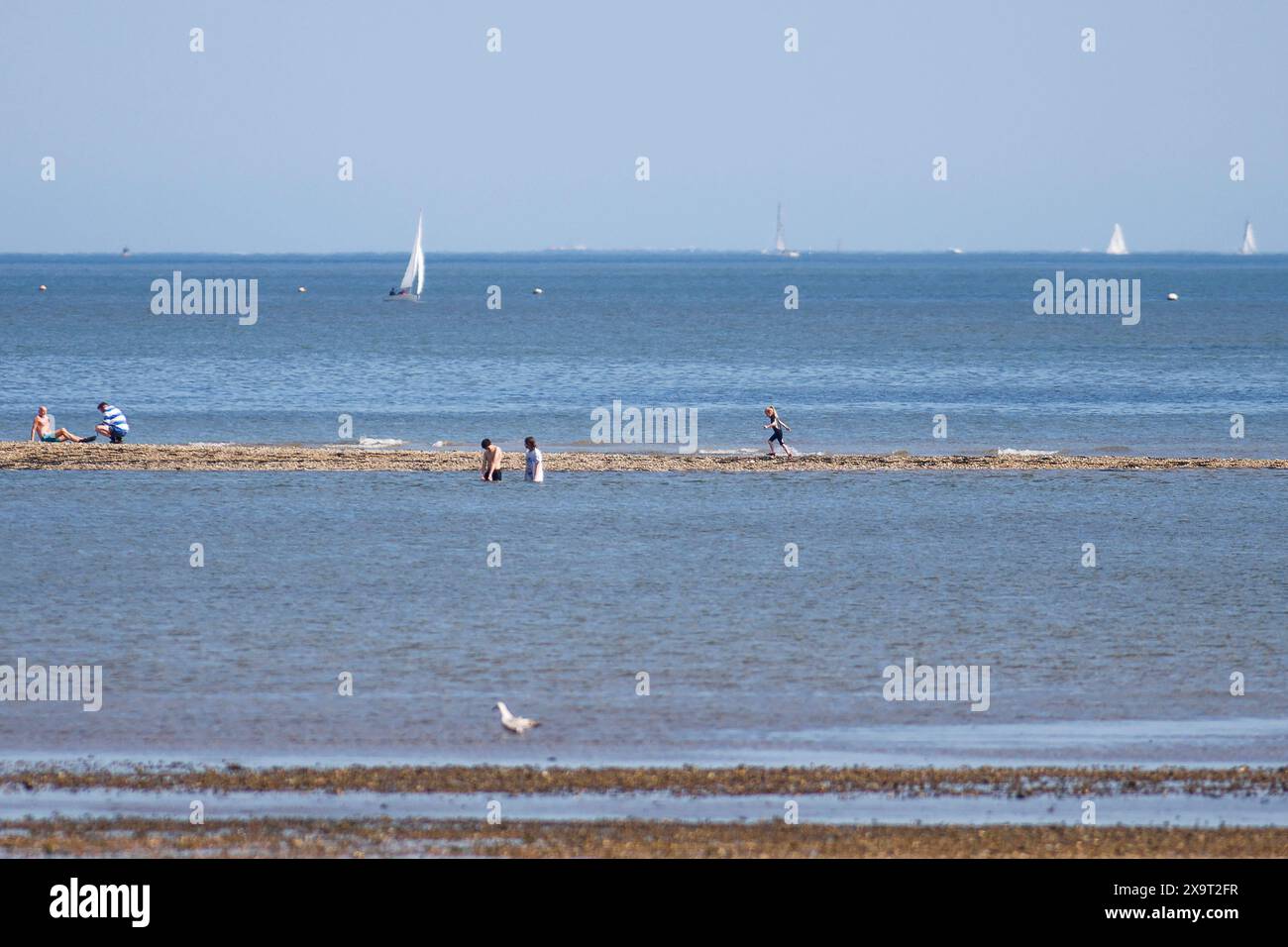 Meon Beach, Titchfield Nature Reserve, Stubbington. 02nd June 2024. A ...