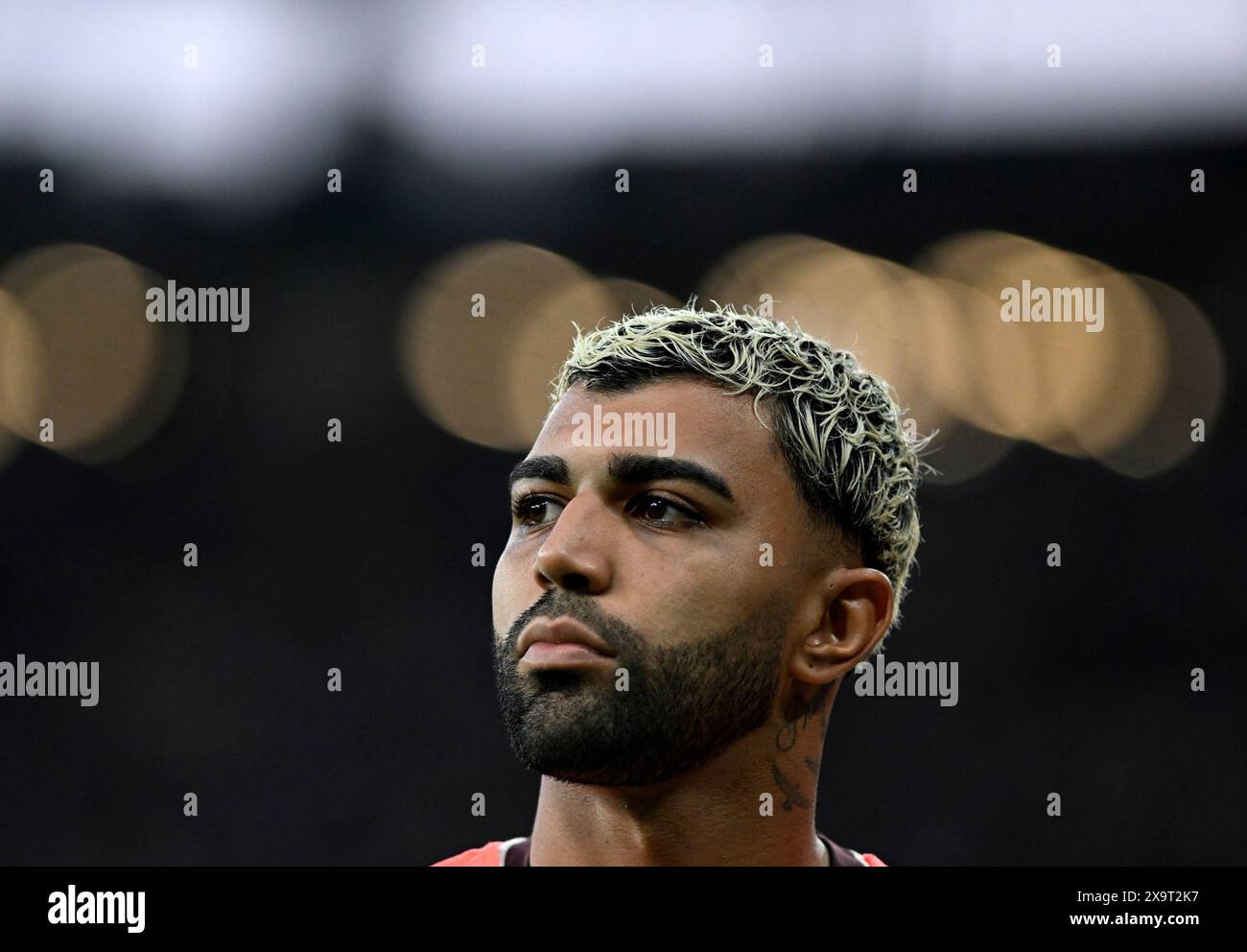 Gabigol 2024 hi-res stock photography and images - Alamy