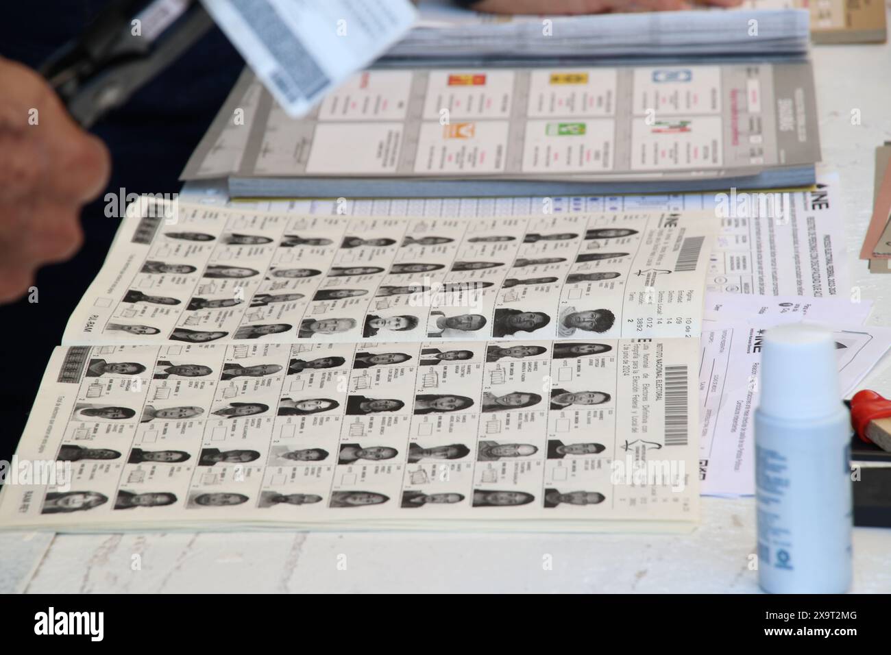 An employee of the National Electoral Institute (INE) marks the voting ...