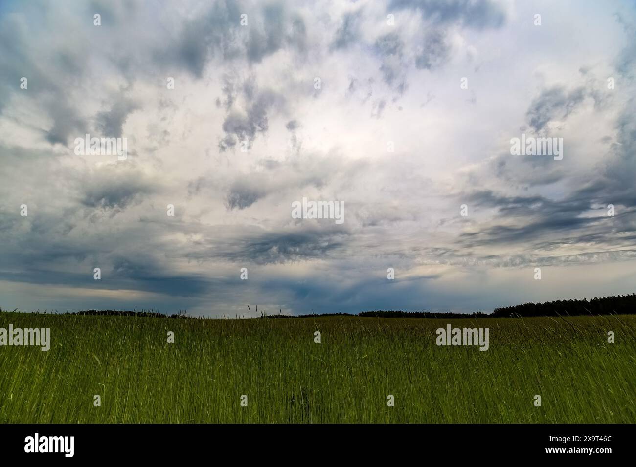 Summer landscape fields hot hi-res stock photography and images - Alamy