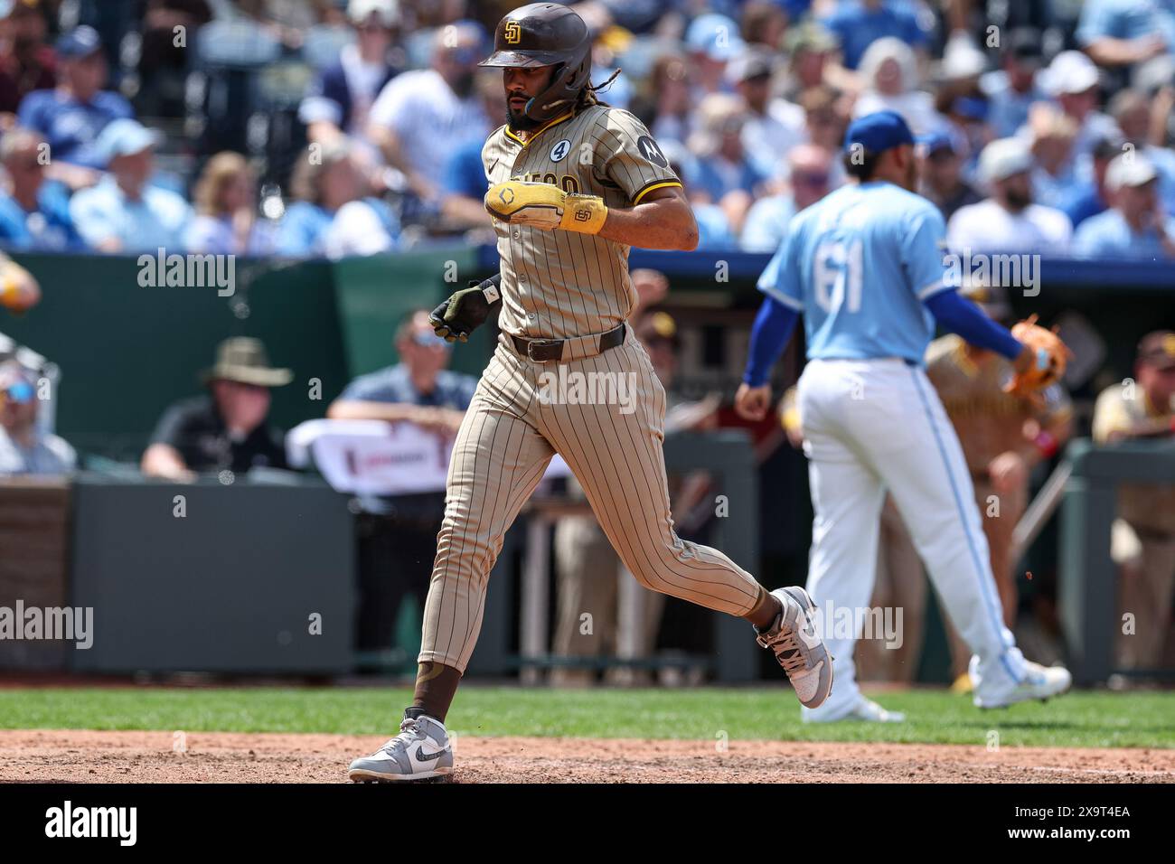 June 2, 2024: San Diego Padres outfielder Fernando Tatis Jr. (23 ...