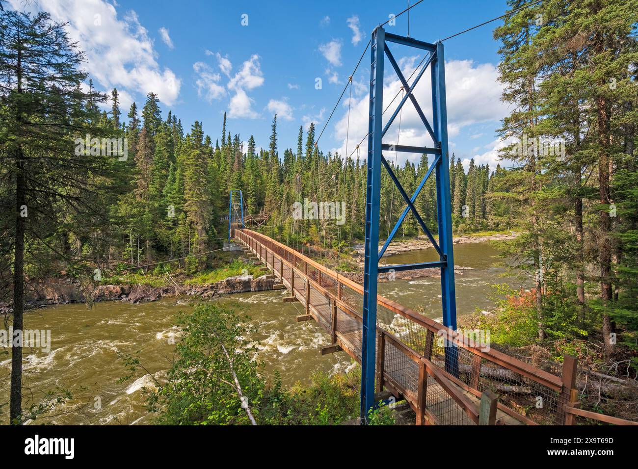 The Rotary Large Suspension Hiking Bridge Over the Grass River in ...