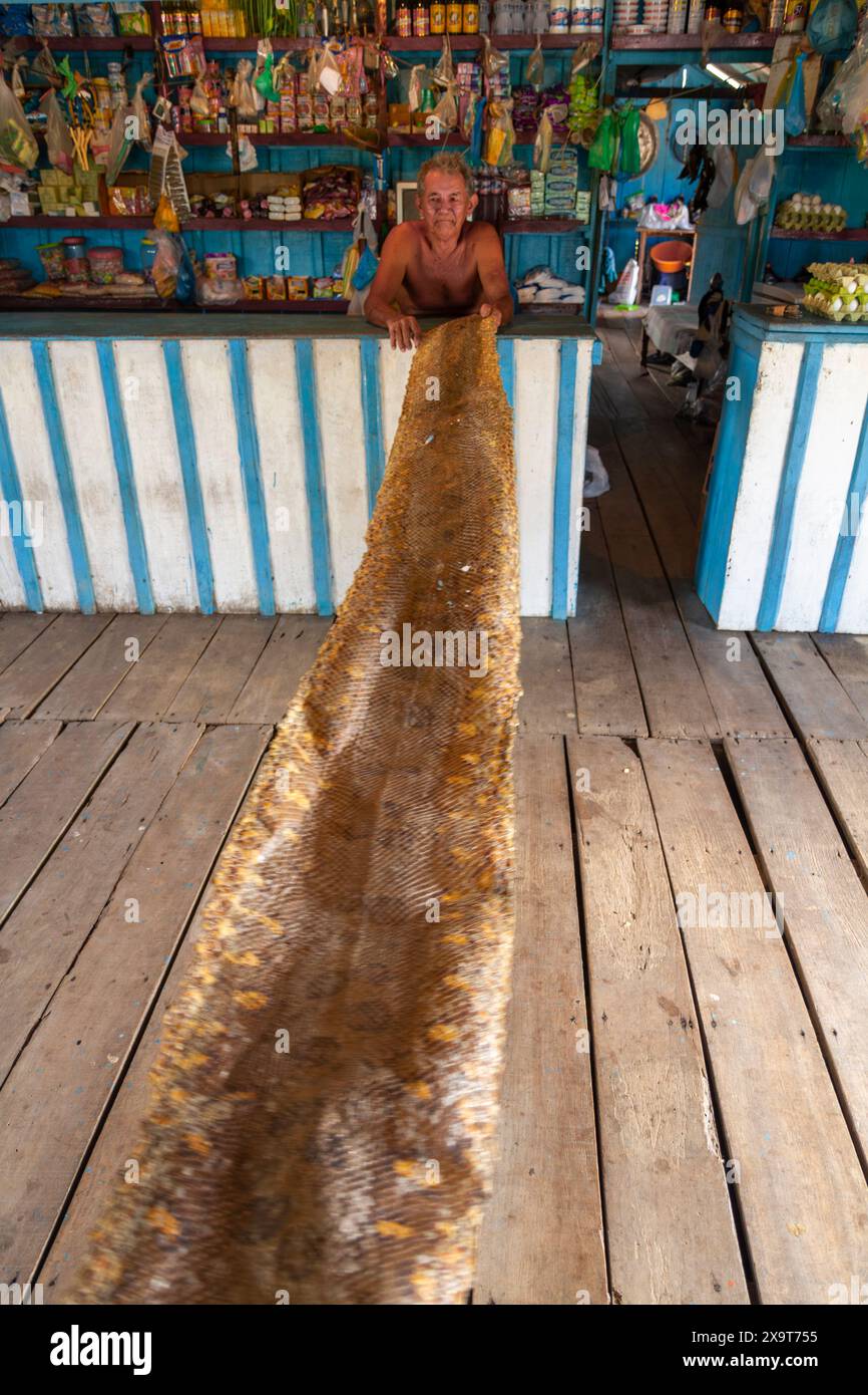 Man showing Anaconda skin in river shop on the Amazon river Stock Photo ...