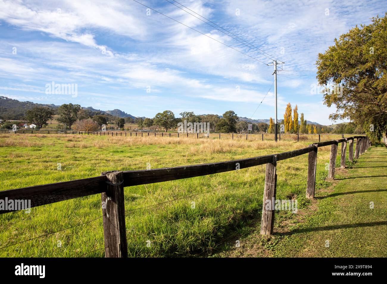 Rural Australia, farming land countryside between Scone and Tamworth ...