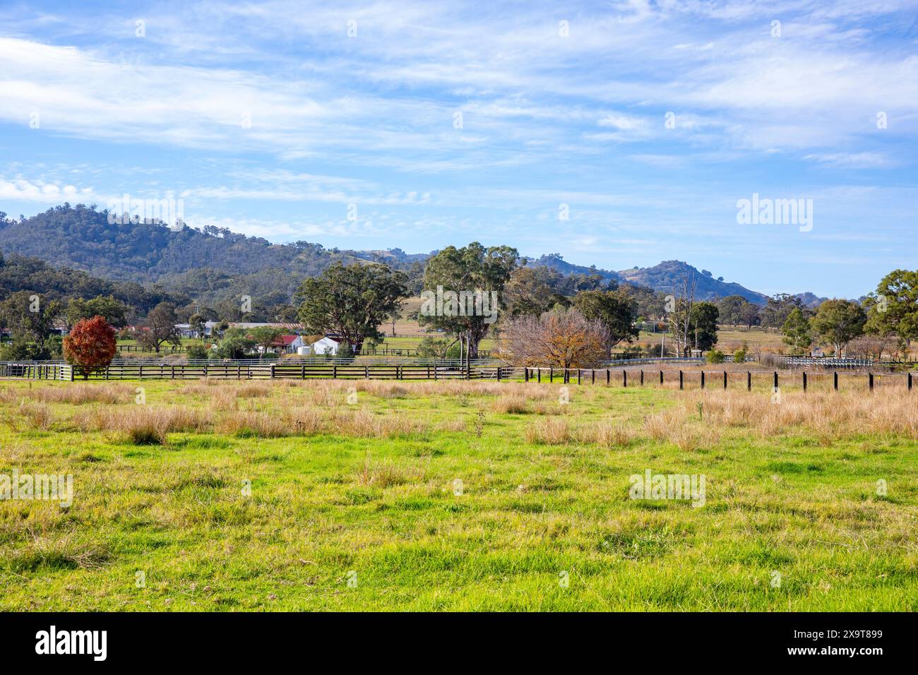 Rural Australia, farming land countryside between Scone and Tamworth ...
