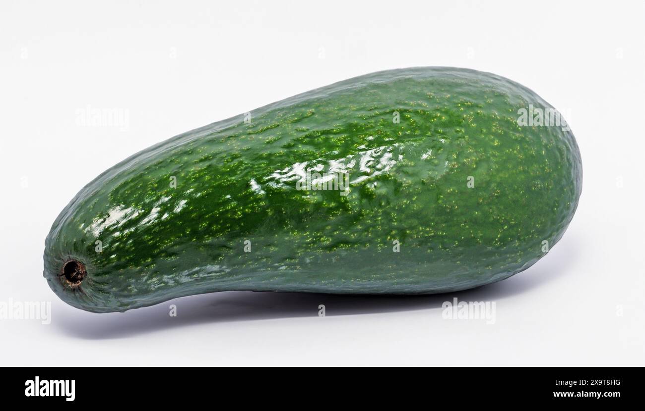 Single fresh Avocado isolated on a white background Stock Photo - Alamy