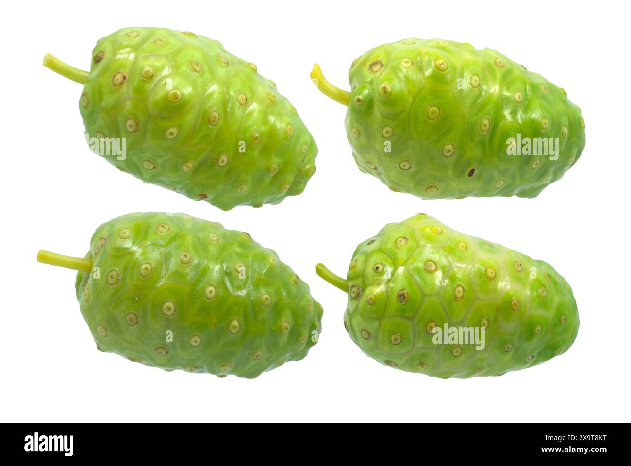 Noni or Morinda fruits isolated on white background Stock Photo - Alamy