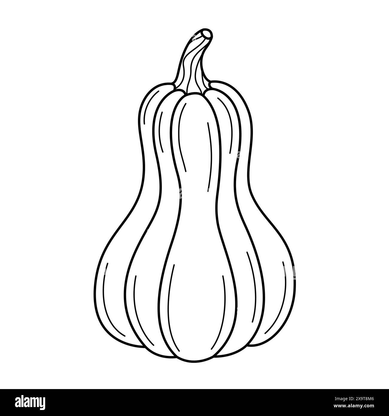 Hand Drawn pumpkin line art. Pumpkin doodle icon. Black and white ...
