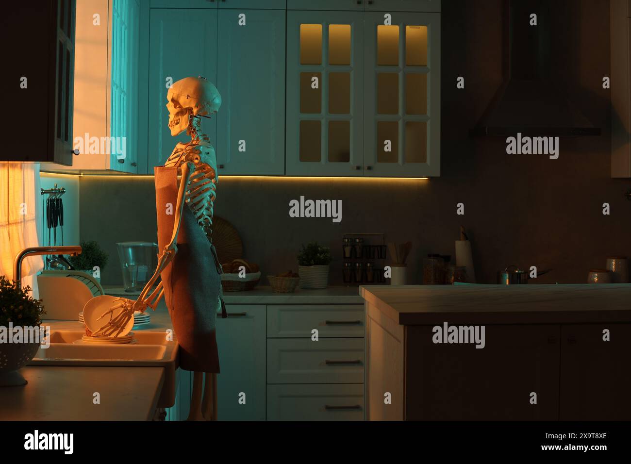 Human skeleton washing dishes in kitchen sink at night Stock Photo - Alamy
