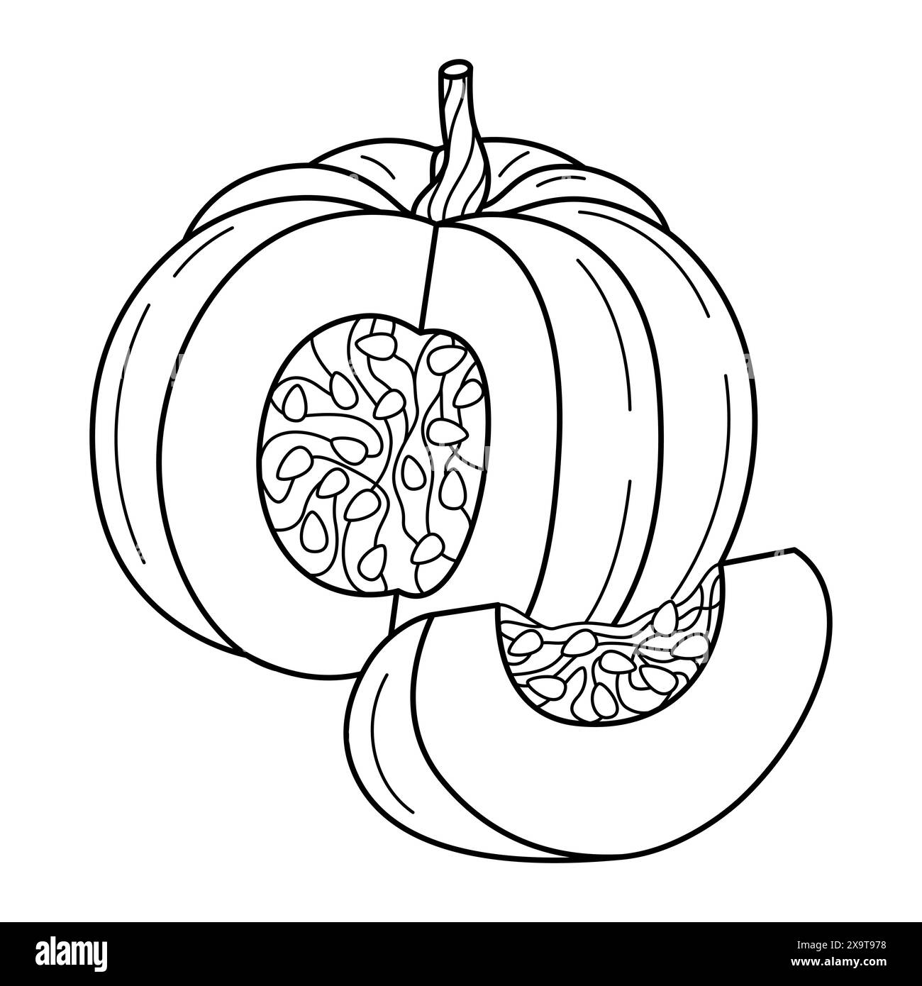 Hand Drawn Chopped pumpkin line art. Pumpkin doodle icon. Black and ...