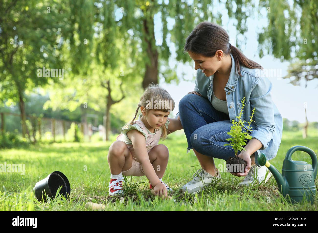 Mother and her daughter planting tree together in garden Stock Photo ...