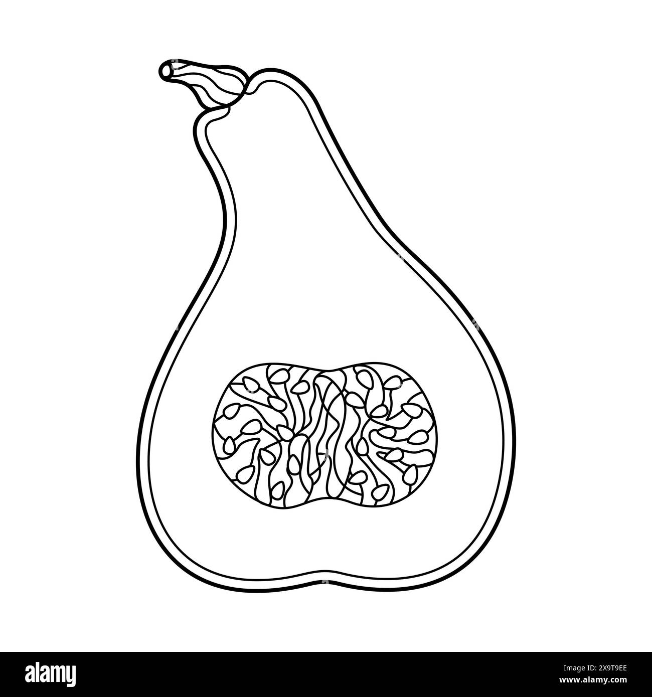 Hand Drawn Chopped pumpkin line art. Half pumpkin doodle icon. Black ...