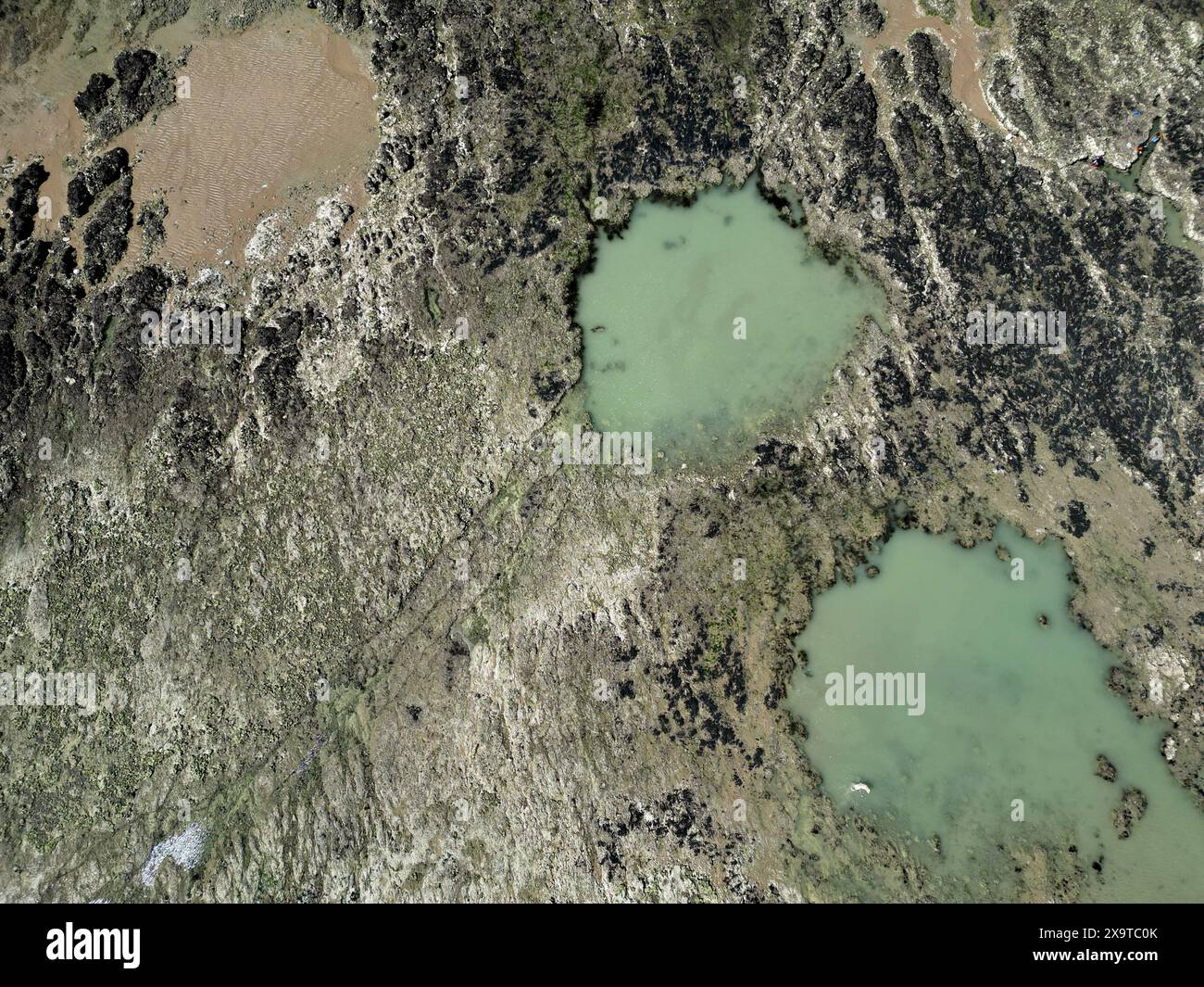 Aerial view of bomb craters seen as depressions visible along the rocky ...