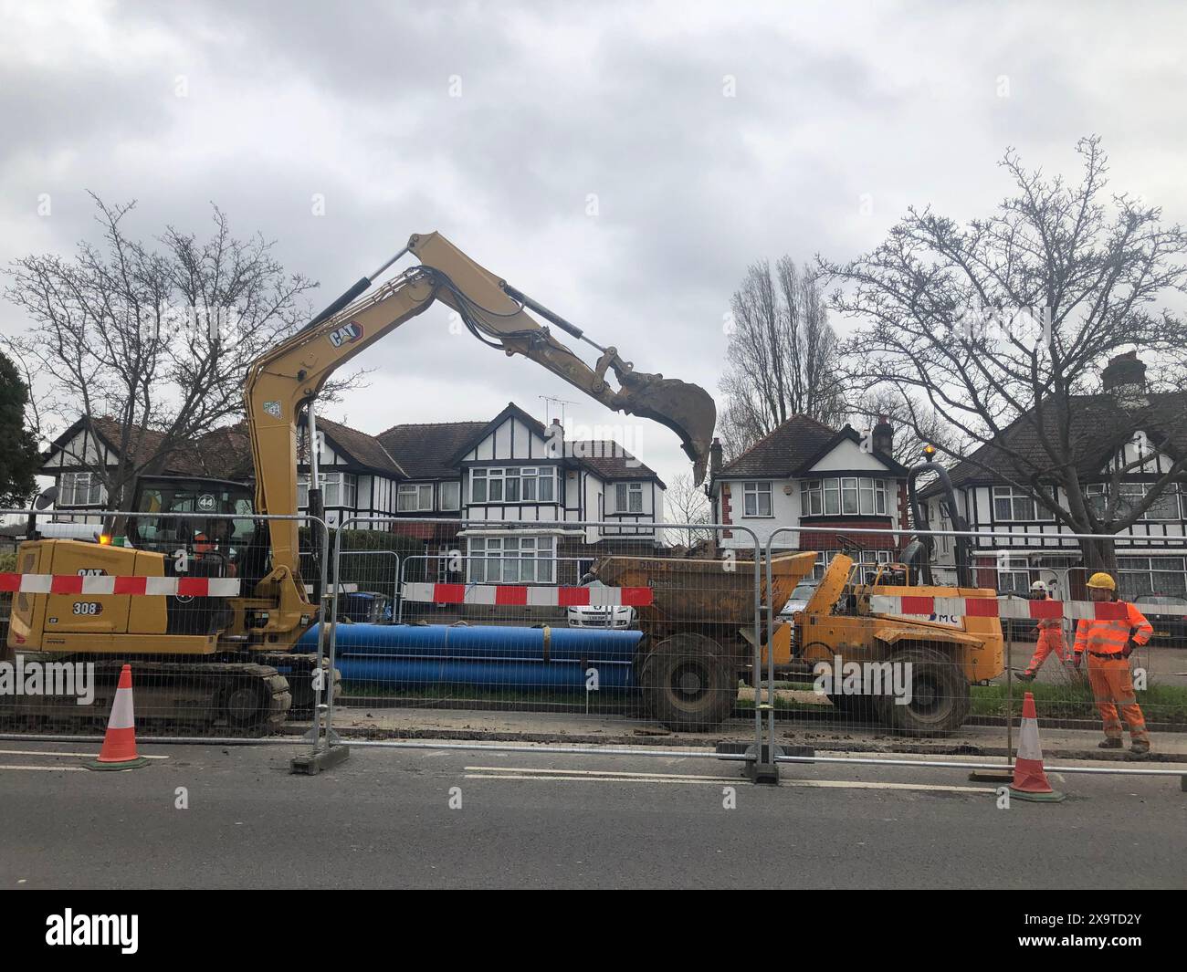 England, London, Clapham South, Nightingale Lane, Clapham Flowers ...