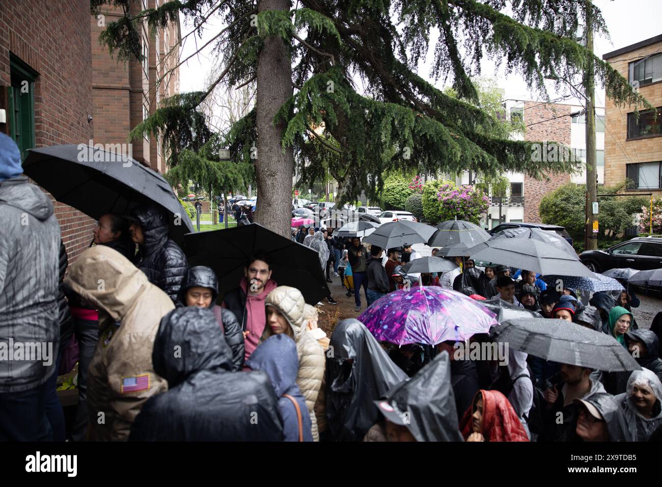 2024 mexican election hi-res stock photography and images - Alamy