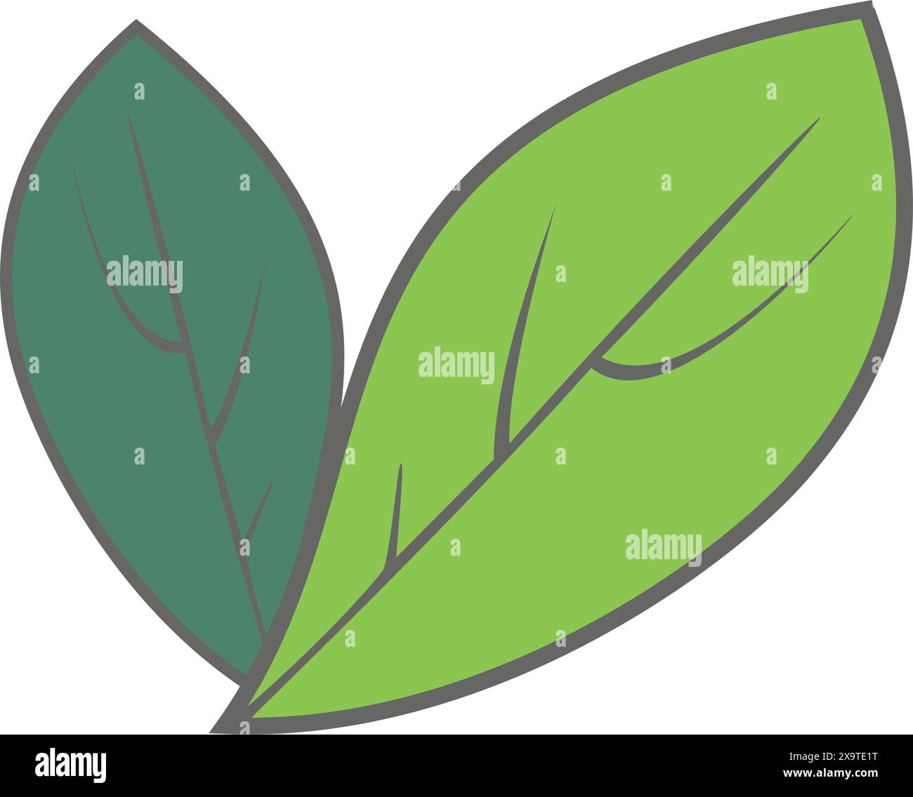 Two leaves two Stock Vector Images - Alamy
