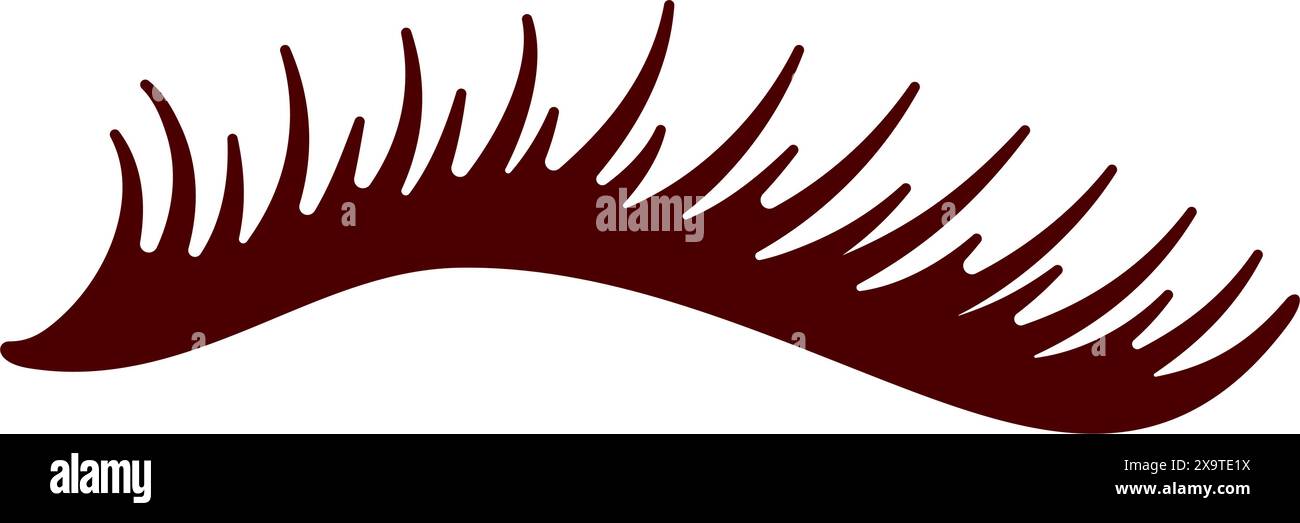 A detailed human eyelash for beauty concept vector Stock Vector Image ...