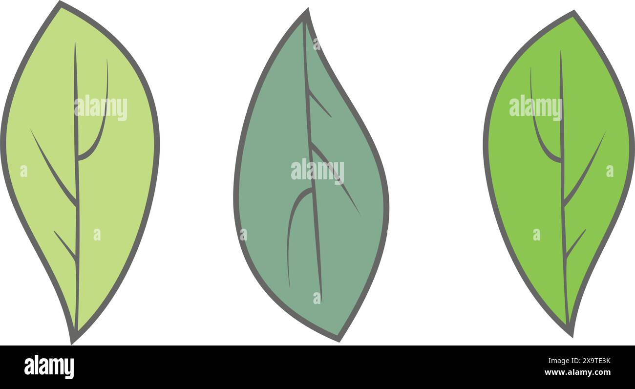 Green leaf vector icons Cut Out Stock Images & Pictures - Alamy