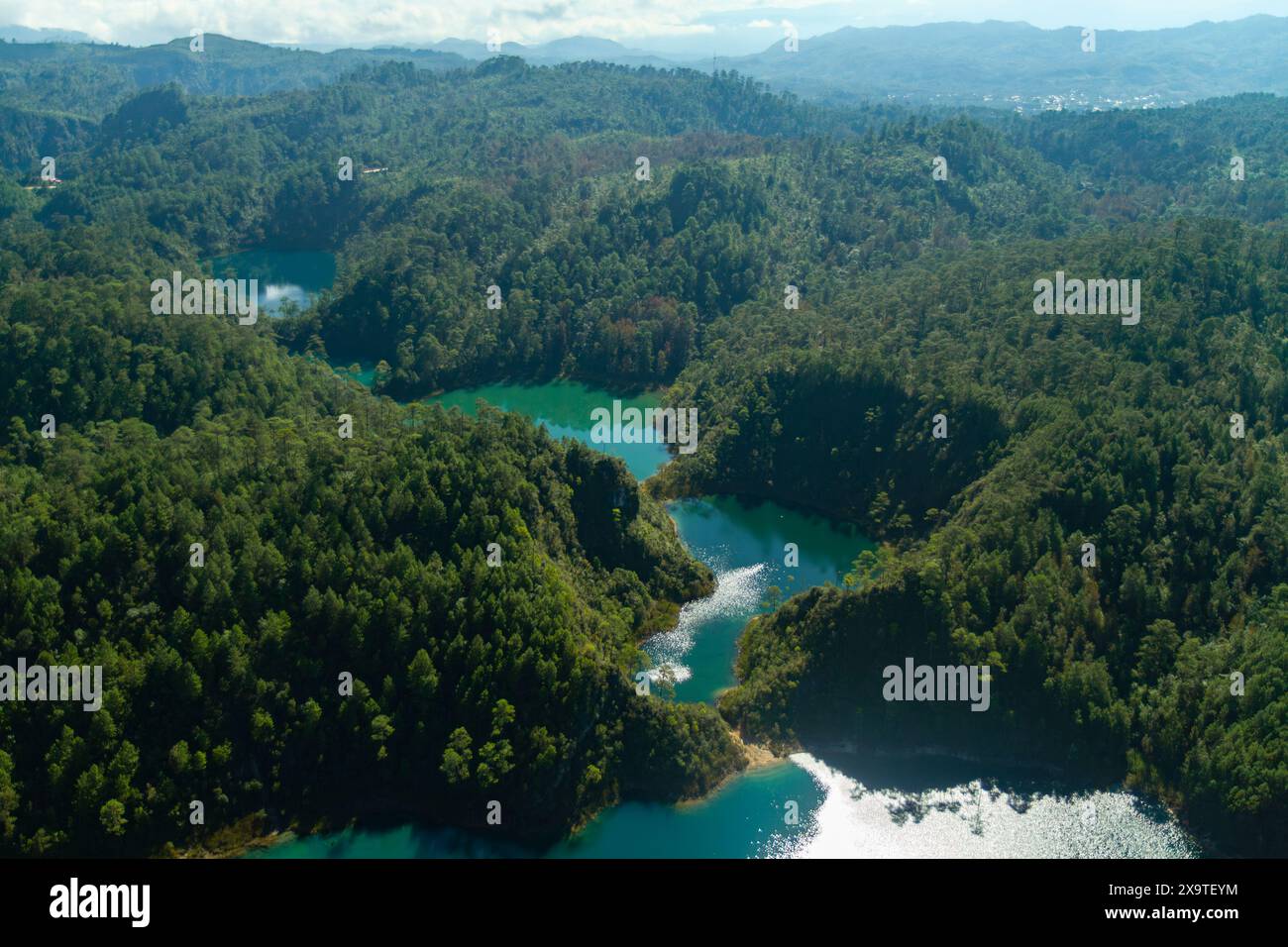 Aerial view forrest and lake at Biosphere Montes Azules, Mexico Stock ...