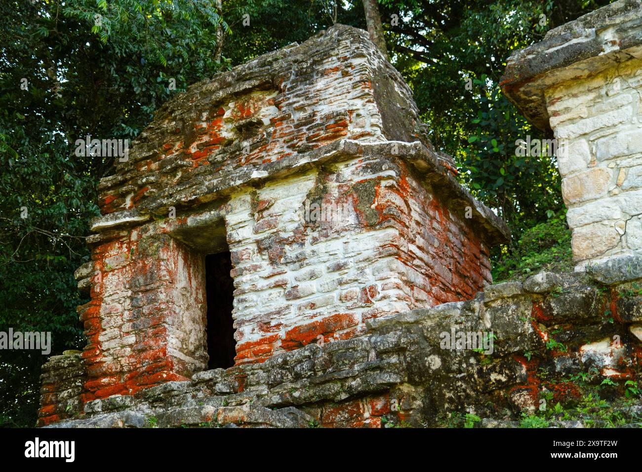 Mayan pyramid detail in the jungle, Bonampak Mexico Stock Photo - Alamy