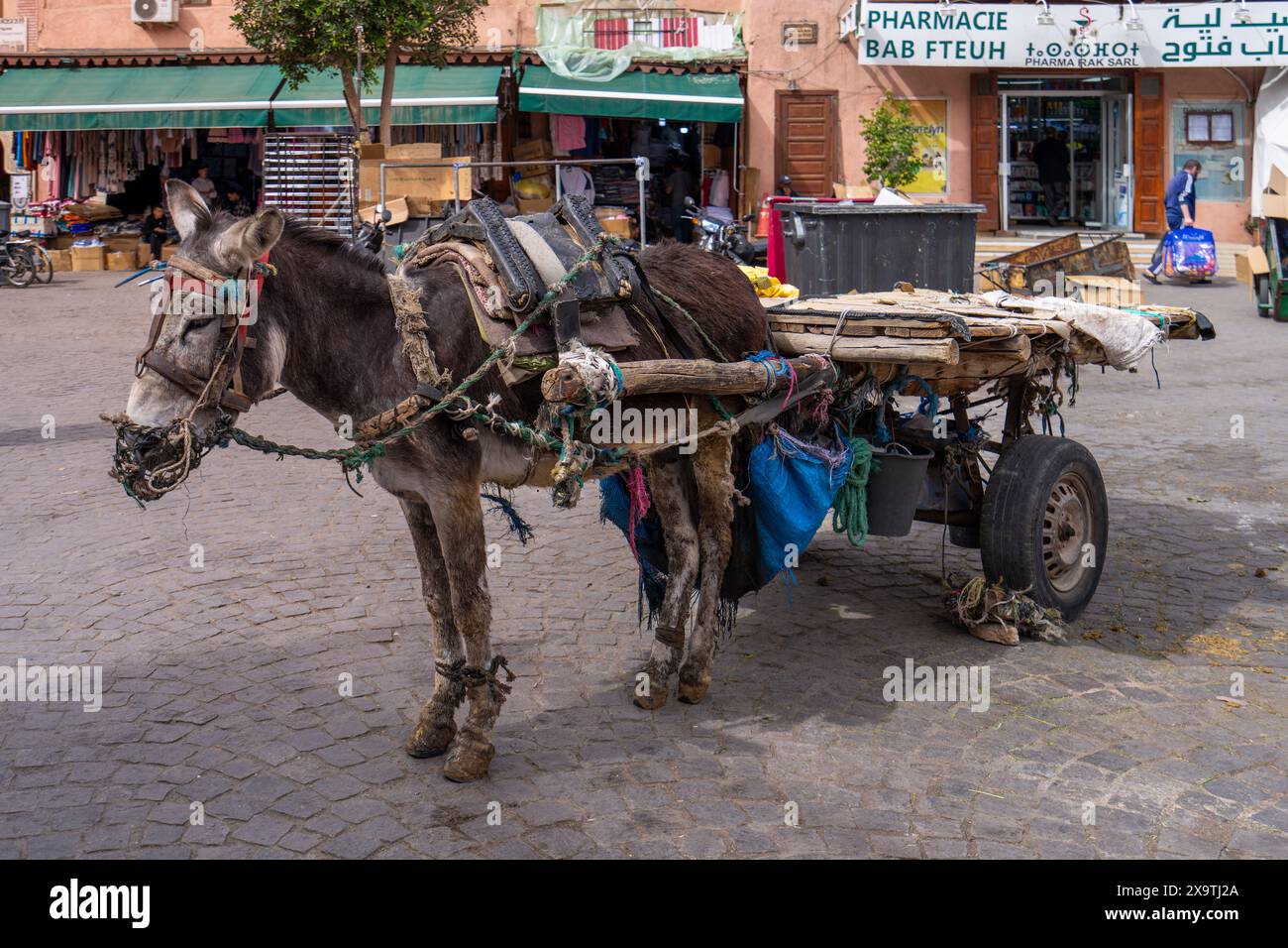 Jemaa el-Fnaa, Marrakech, Morocco - March 18, 2024: A traditional ...