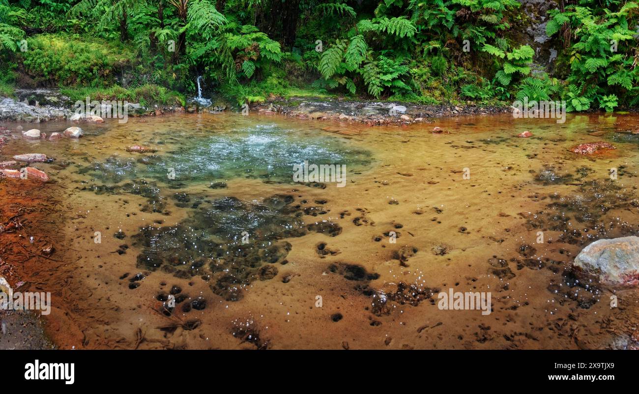 Hot natural thermal spring in Caldeira Velha with rocky shore ...