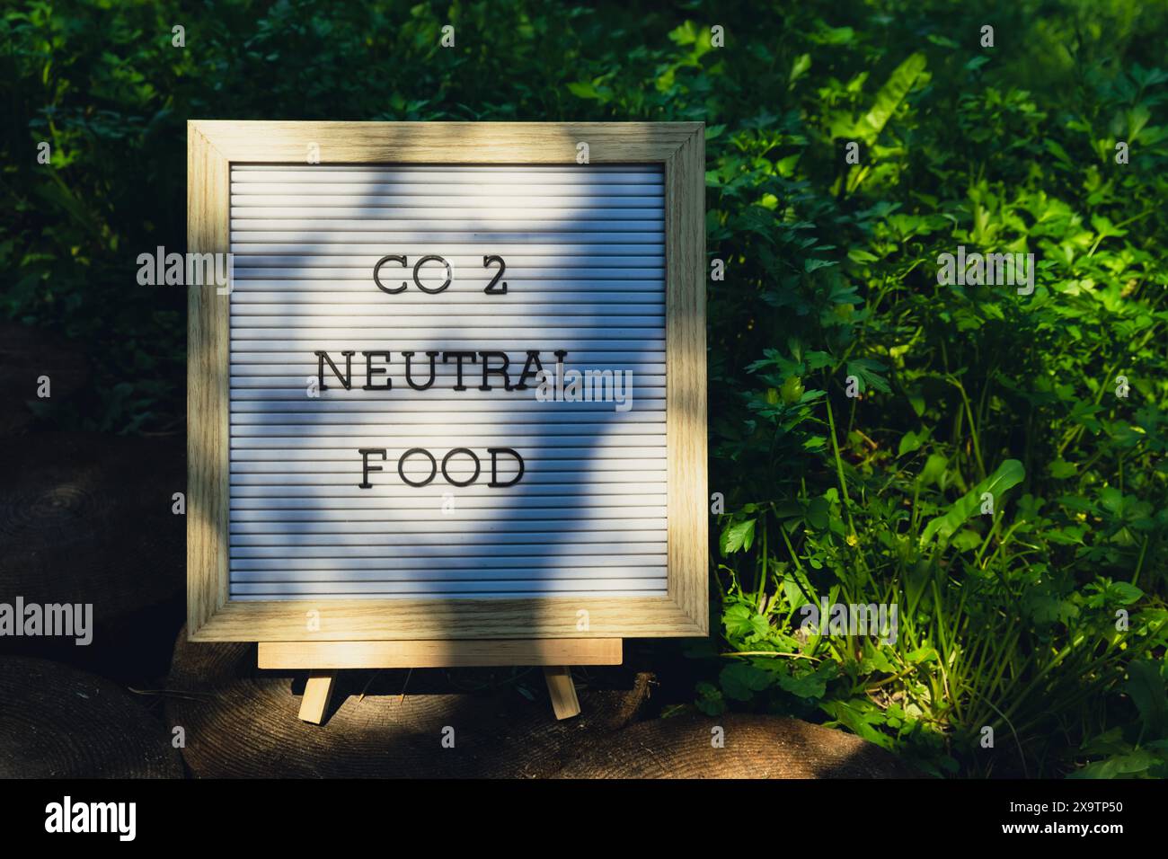 CO2 NEUTRAL FOOD message on background of fresh eco-friendly bio grown ...