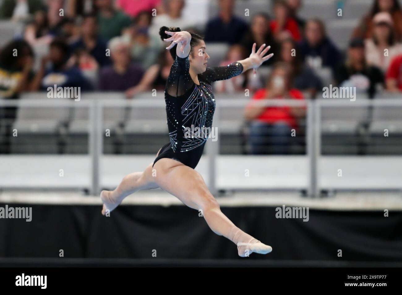 Kayla dicello hi-res stock photography and images - Alamy