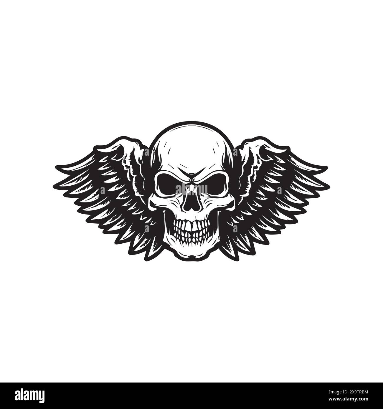 Skull vintage hi-res stock photography and images - Alamy
